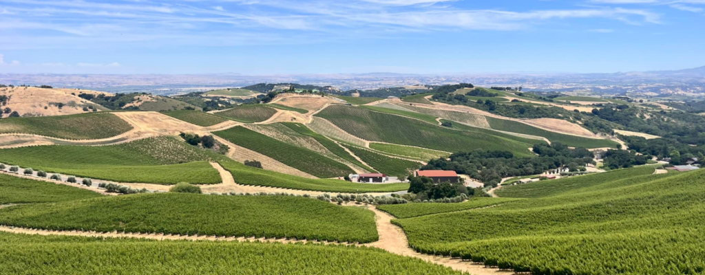 Daou Vineyards and Winery | ClearBlu Environmental
